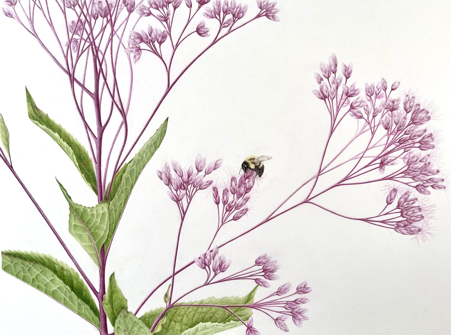 DN Prize Winners - Fivesparks